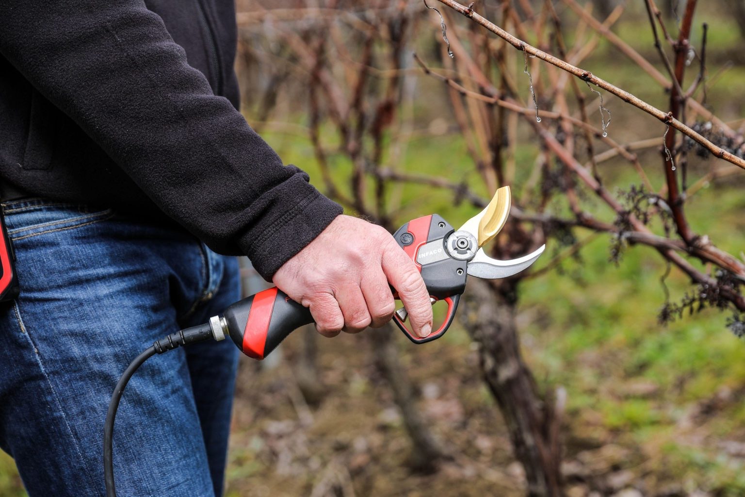 AGRI SERVICE – 25 ANS D'EXPERIENCE